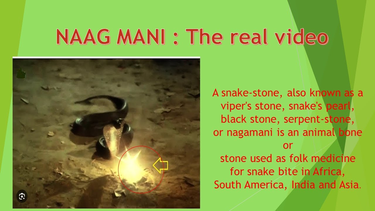NAAG MANI REAL VIDEO - YouTube