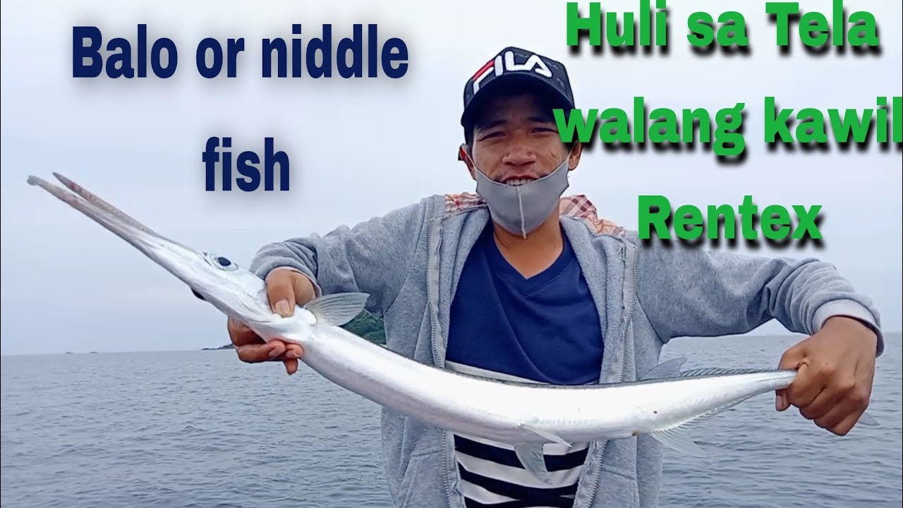 Partida walang kawil tela Lang sapat na! sa pang balo or niddle fish ...