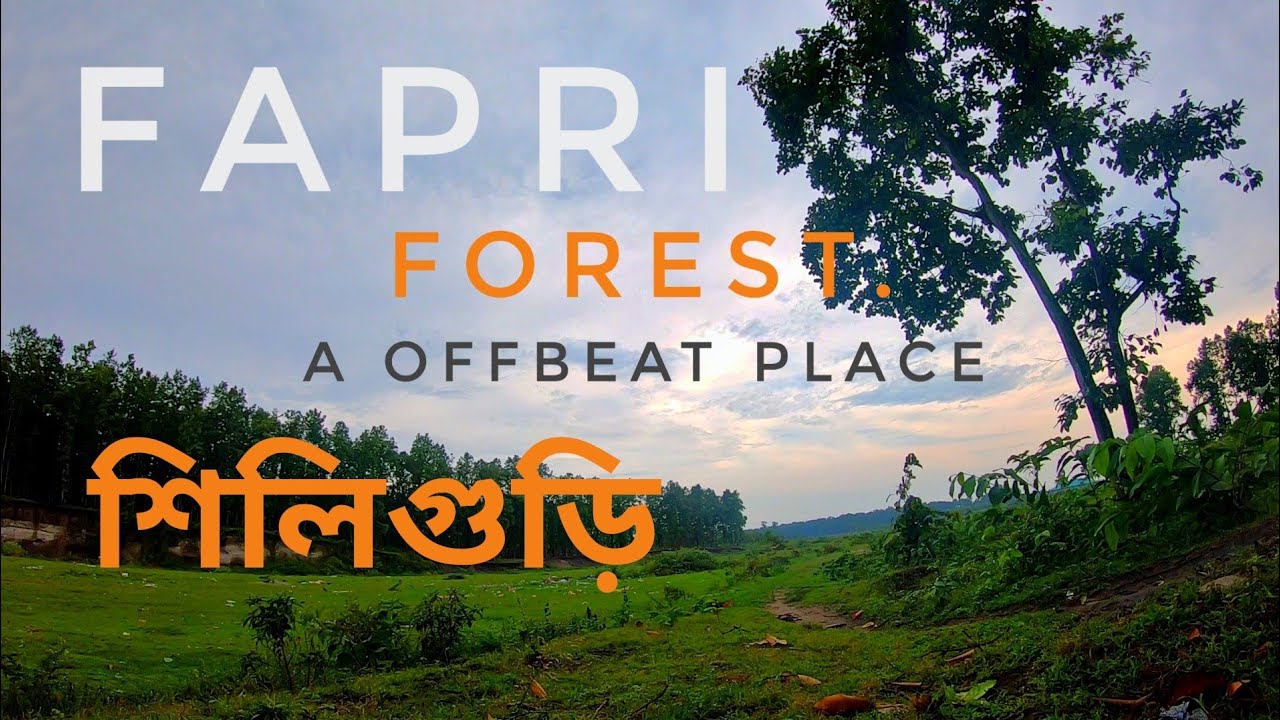 Fapri forest Siliguri || A beautiful place near Siliguri || cinematic ...