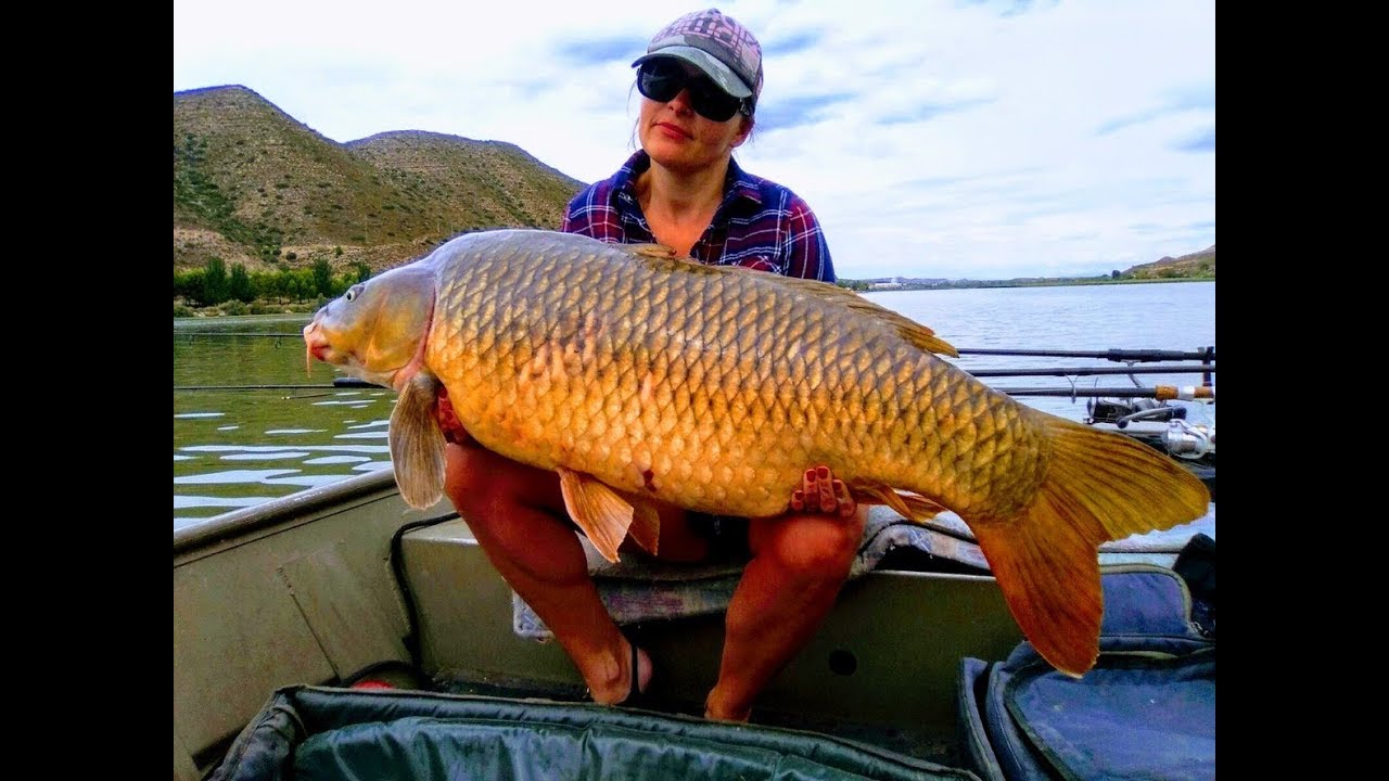 lady carp fishing, carp,catfish and more - YouTube