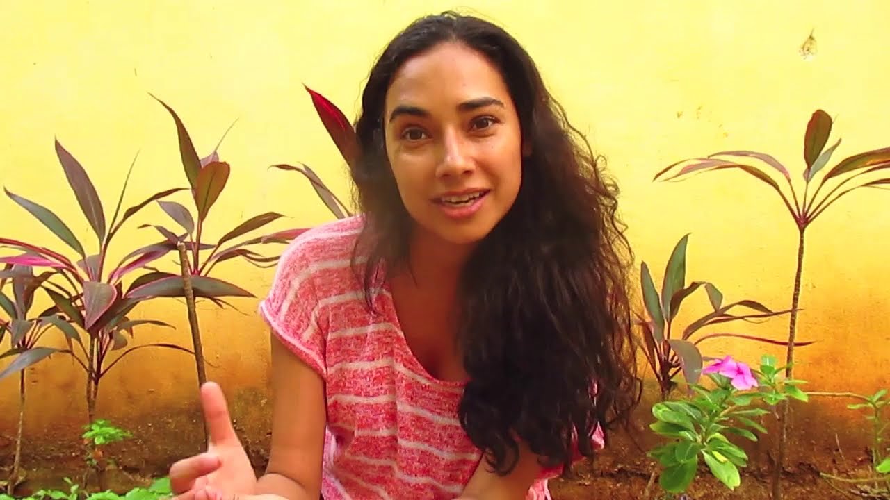 Meet the amazing artists of Havana | What are 'solares'? | Sandra Calvo ...