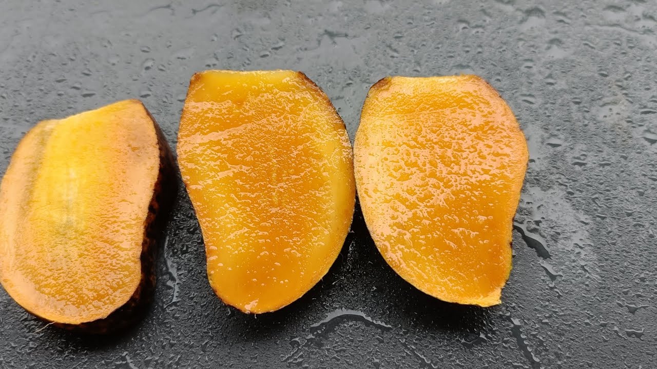 Now you can enjoy sweet mango three times in a year by growing this ...
