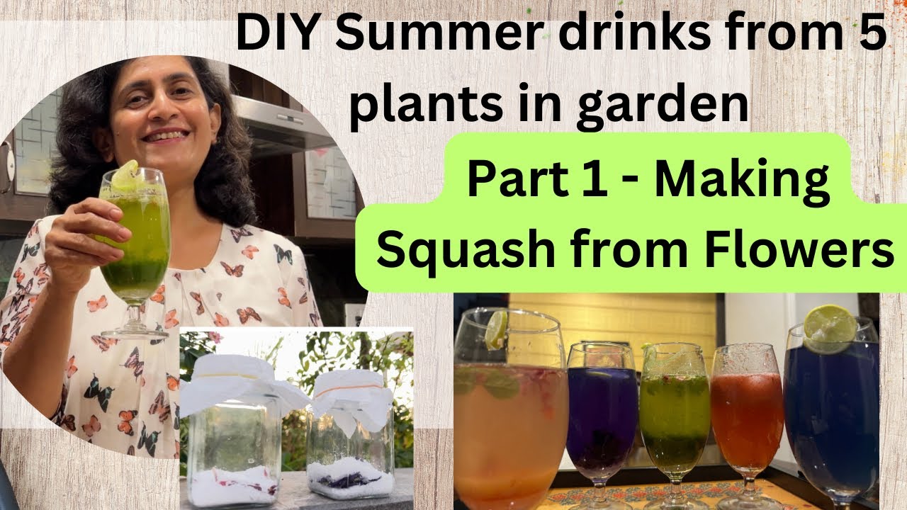 Part 1 : Making Squash from flowers | DIY Summer Drinks - YouTube