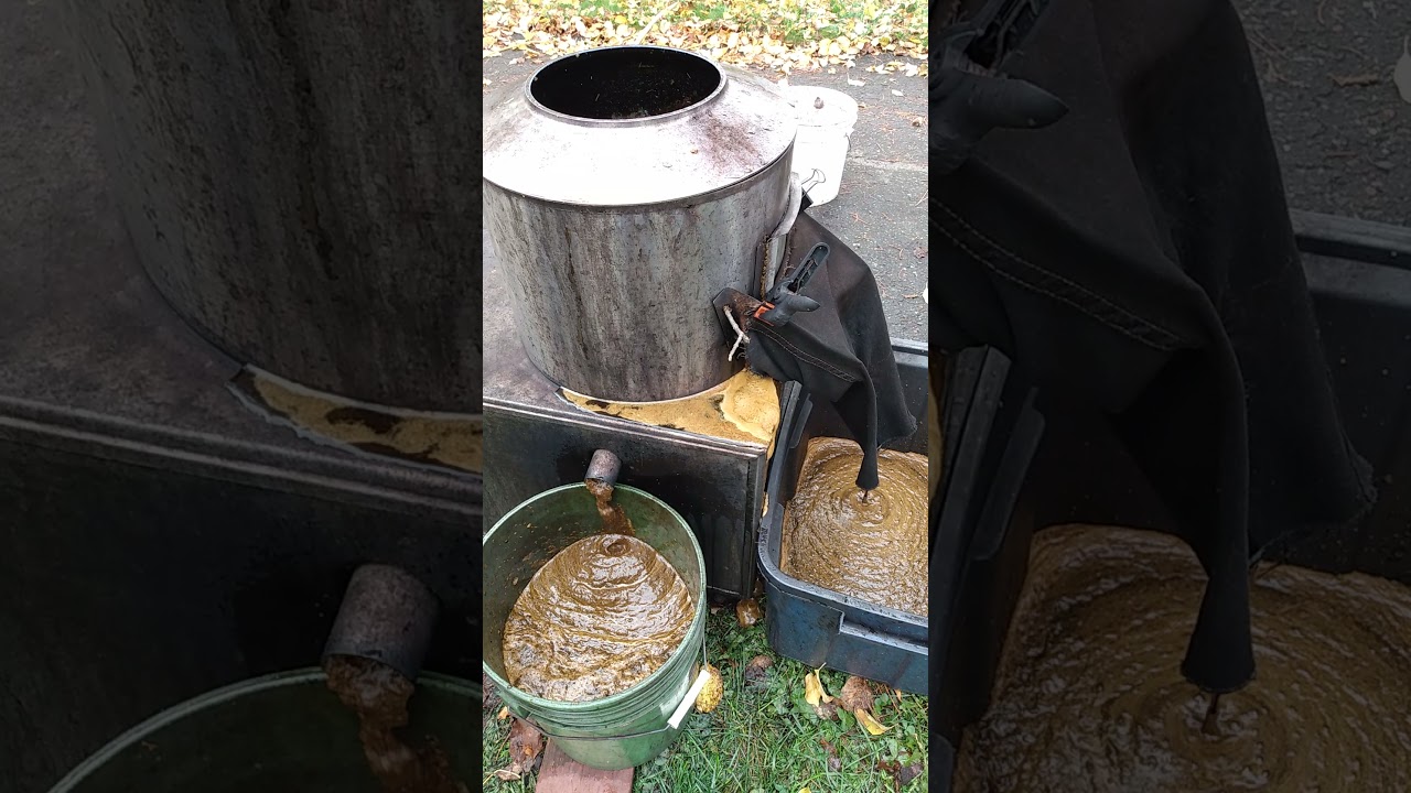 Hulling Black Walnuts With a Potato Peeler - YouTube