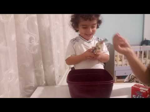 SEVİMLİ DOSTLAR|MEHMET AKİF KUTU SEÇİYOR!