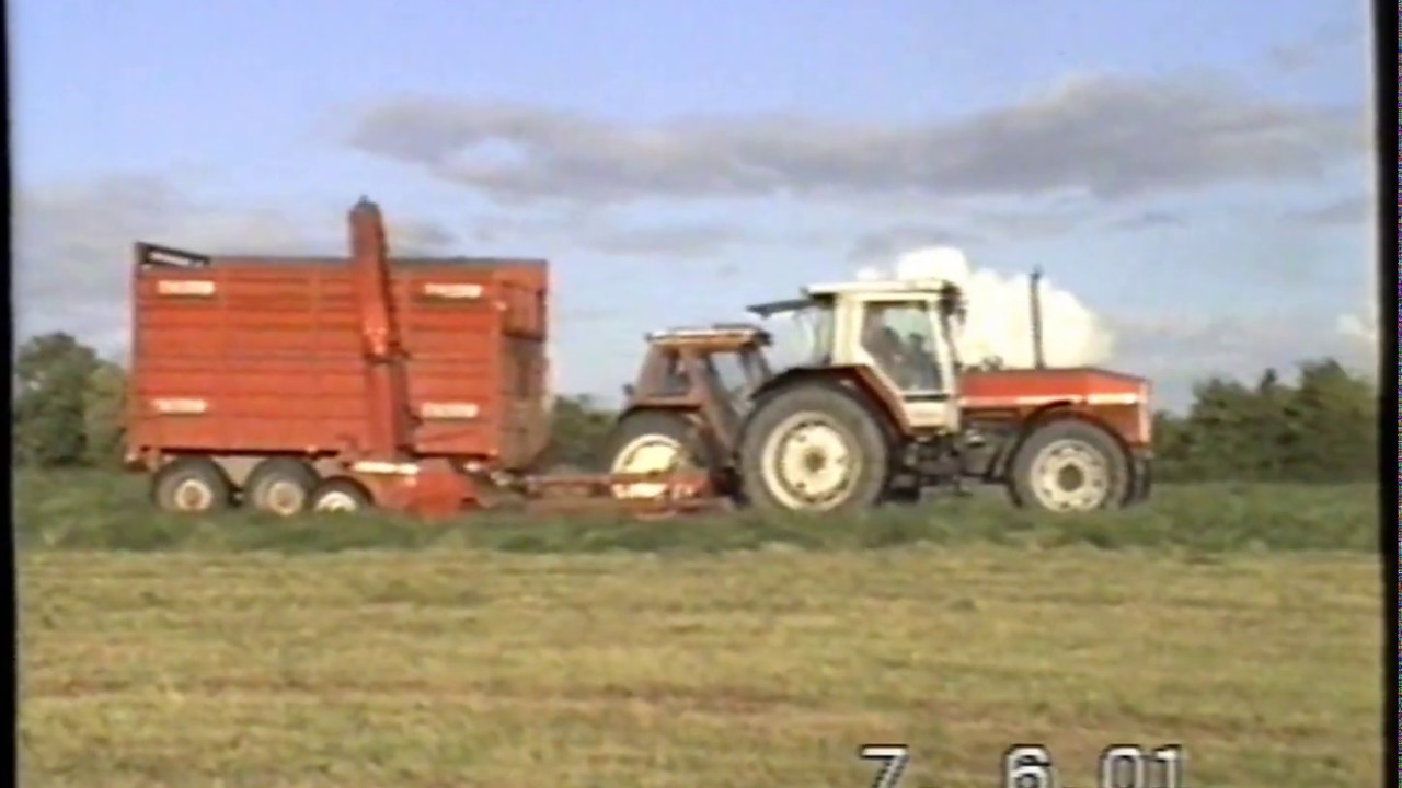 MF 3690 WITH JF 900 CUTTING SILAGE #THROWBACKTHURSDAYS - YouTube