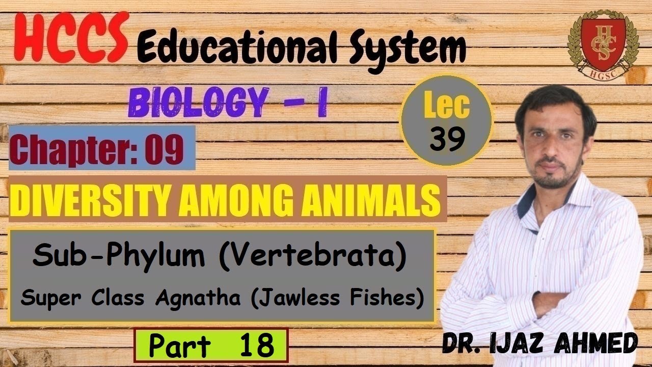 Vertebrata | Super Class Agnatha (Jawless Fishes) |Part 18 |Chapter 9 ...