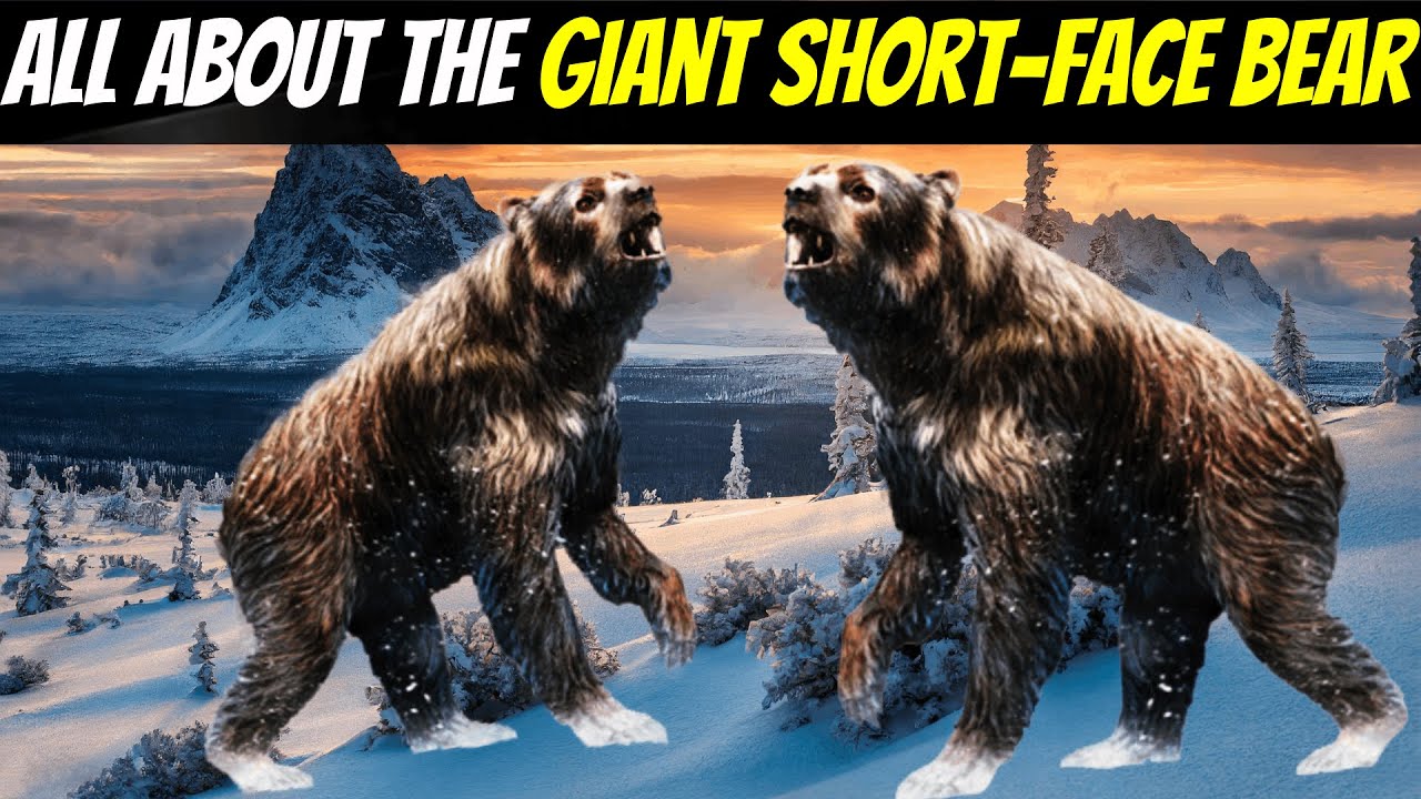 The Ice Age's Giant: Short-Faced Bear Uncovered! - YouTube