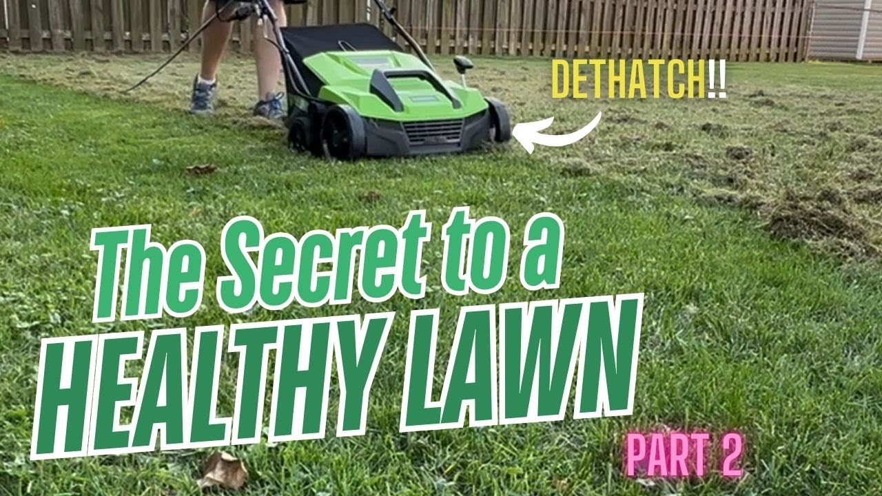 Full Guide: Dethatch Your Lawn with Greenworks DT13B00 | Part 2 - YouTube