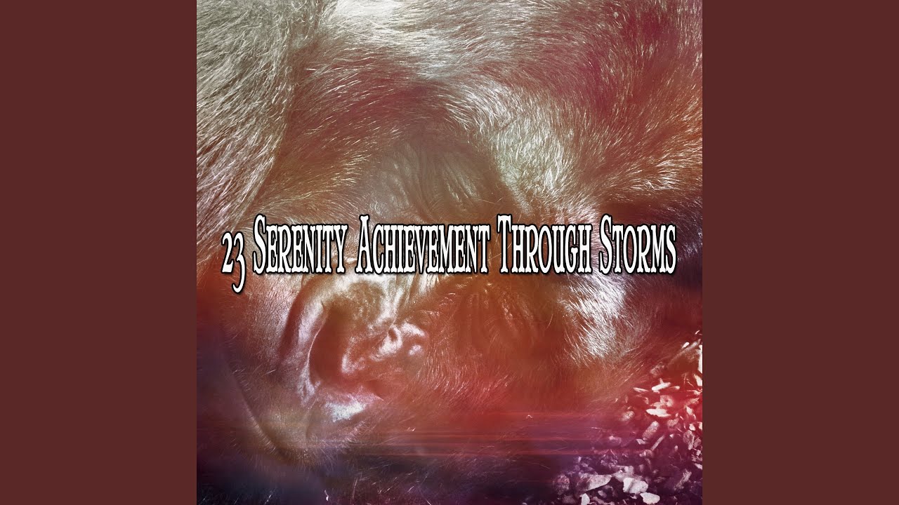 Metal Dings While a Storm Rages On - YouTube