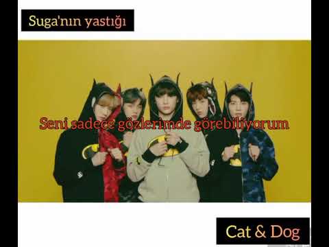 TXT + Cat & Dog x (Türkçe Altyazı)