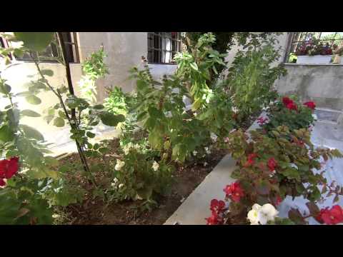 Gönül Sultanları 38.Bölüm - Ahmet Bican Efendi