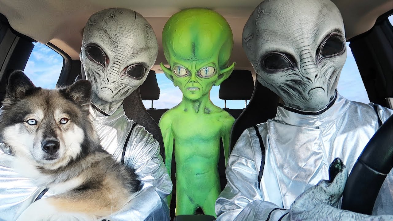 Puppy Surprised By Alien Invasion! - YouTube