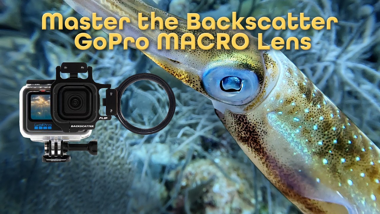 How To Master GoPro Macro Video With the Backscatter Flip Lens! - YouTube