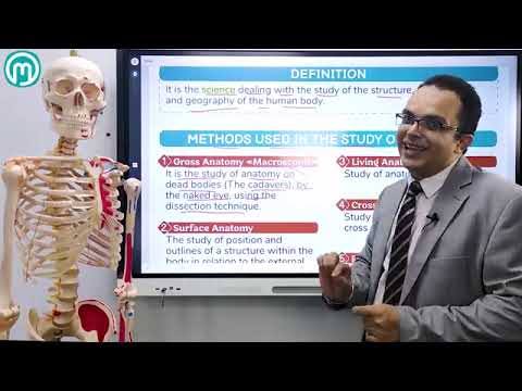 Introduction of human Anatomy 1 - YouTube