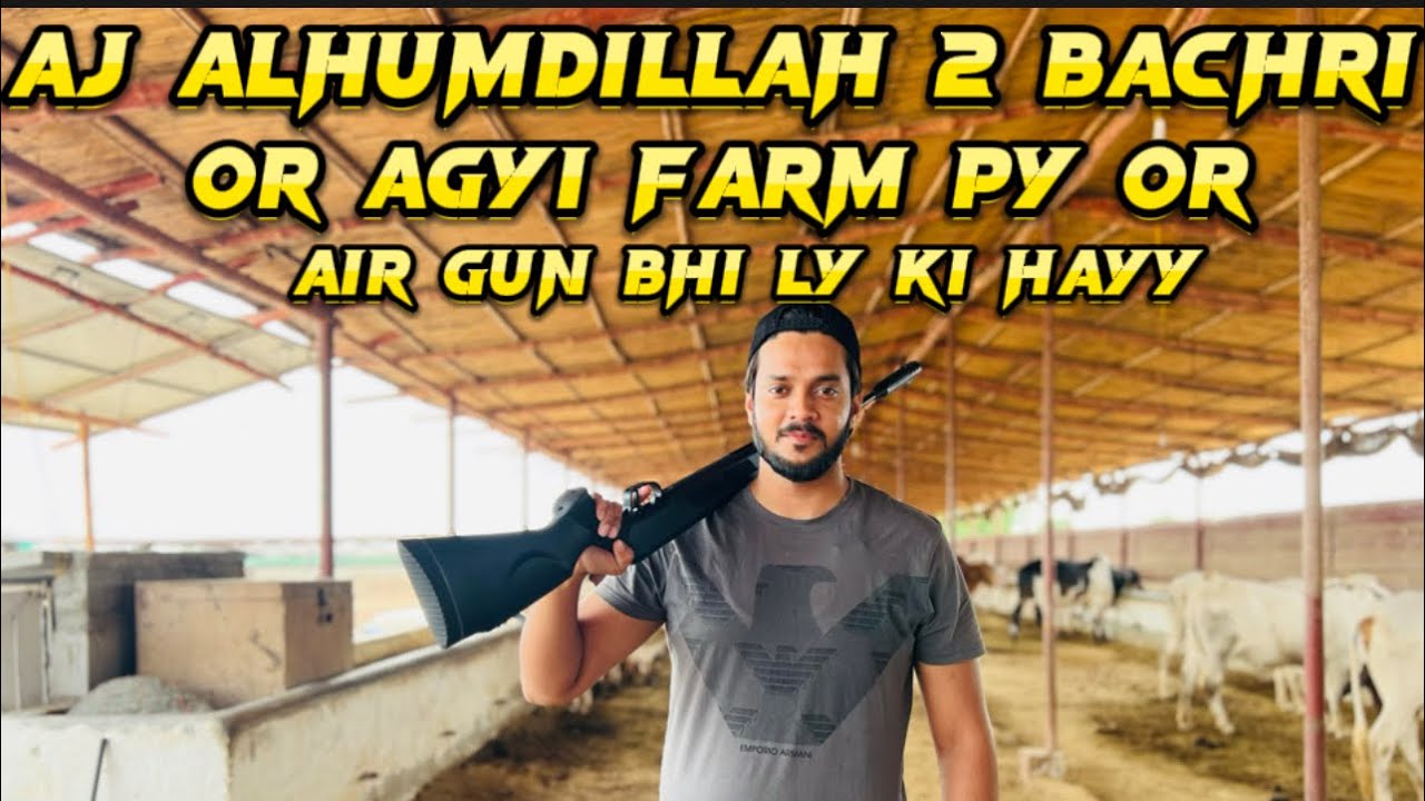 Alhumdillah 2 bachri or agyi Farm Py Or Air Gun bh ly li 😍 - YouTube