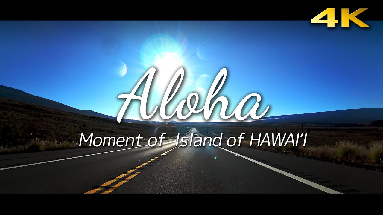 ALOHA! My Friends (Twitter Extended Version) Moment of Island of HAWAI ...