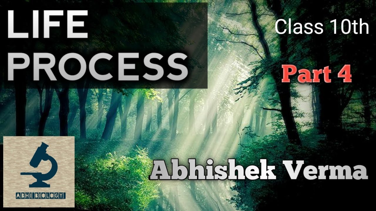 Class 10th LIFE PROCESS Part 4 YouTube class-10th-life-process-part-4-youtube