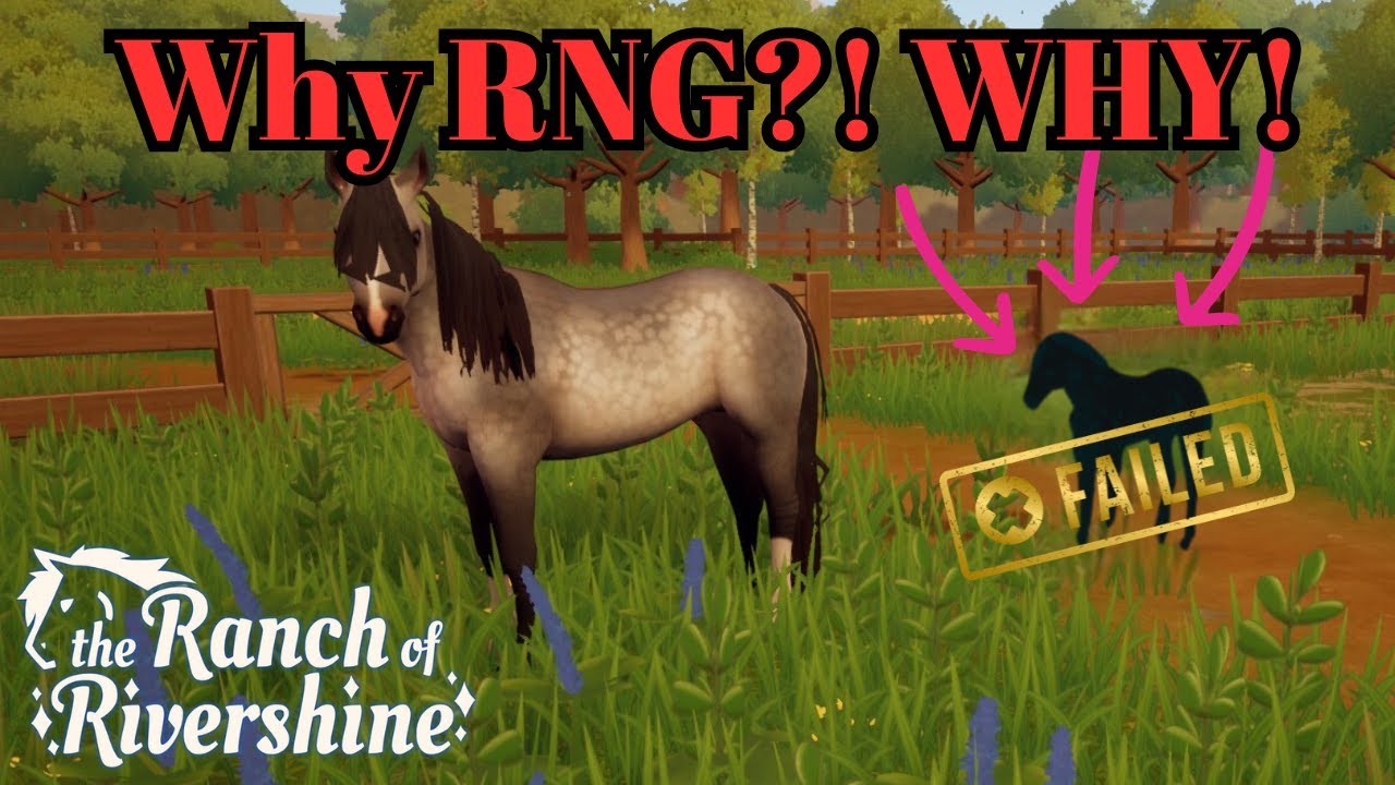 Warning: Mistakes in Horse Breeding - YouTube