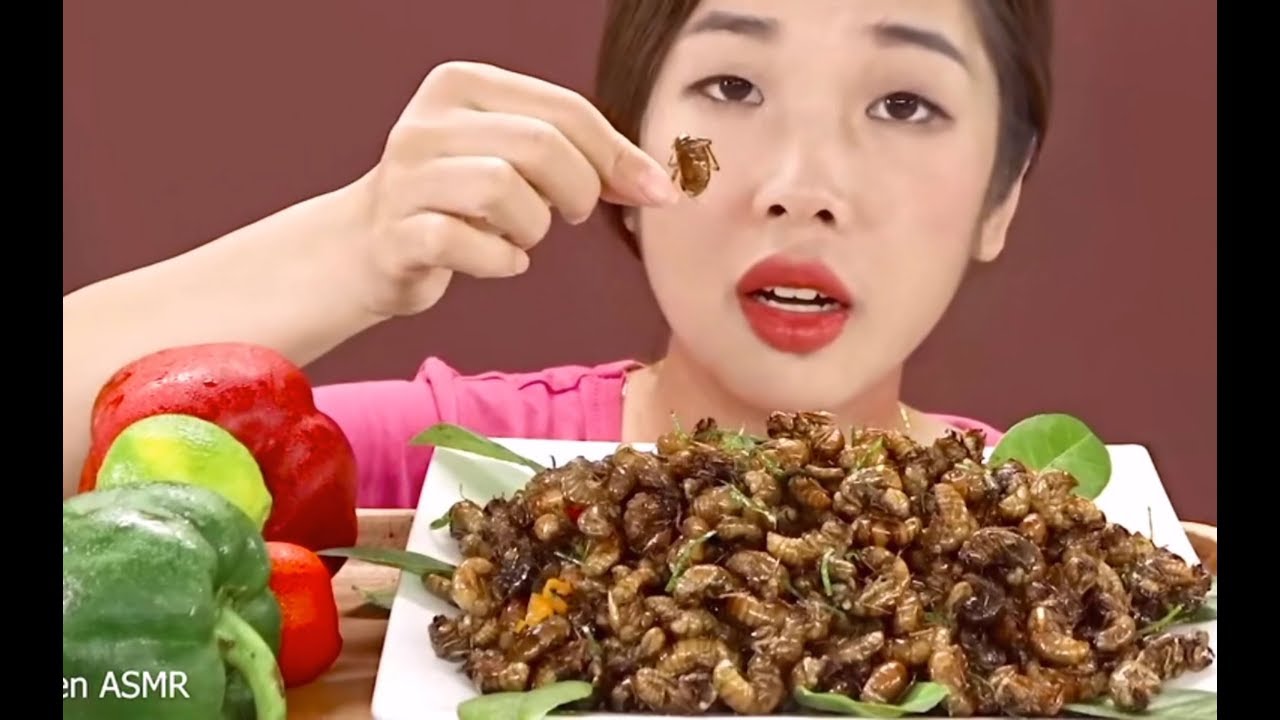 CHEN ASMR-夏天来了，吃些蝉吧 - YouTube