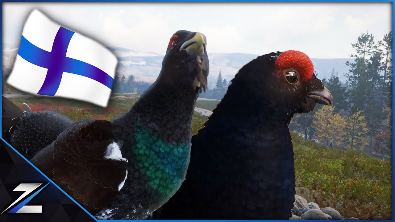 Species List and First Look at the New Reserve - Revontuli Coast! - YouTube