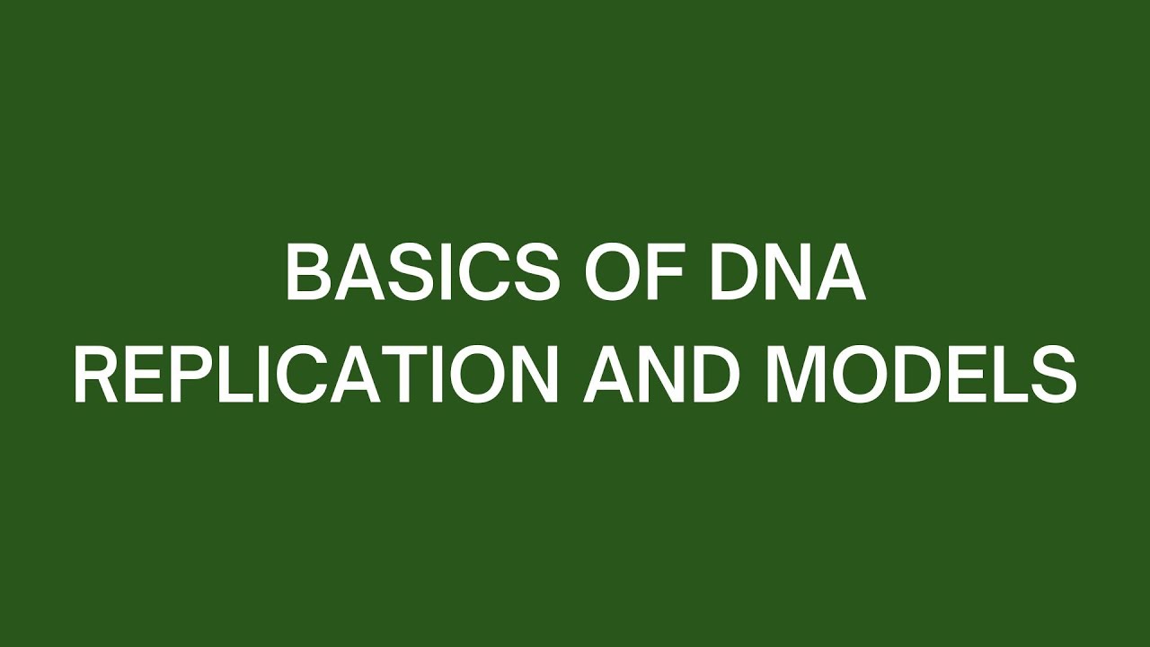 Basics of DNA Replication and Models - YouTube