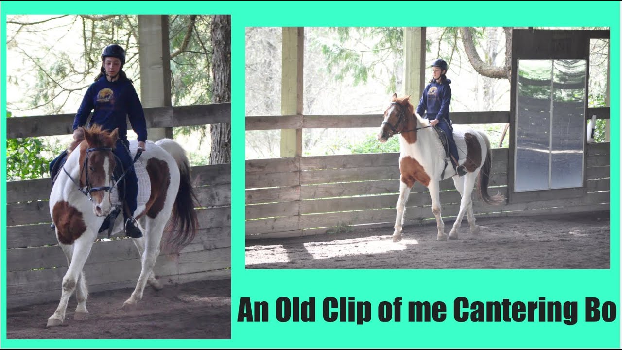 An Old Clip of Bo and I Cantering! - YouTube