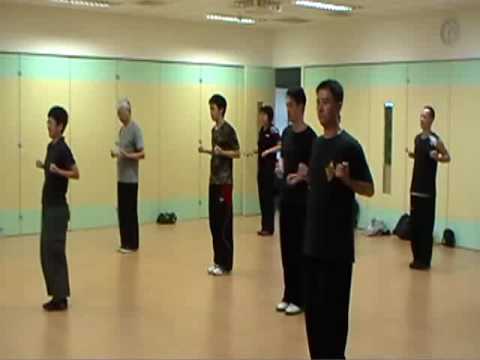 Lo Man Kam Wing Chun Federation Sil Lim Tao in Taipei - YouTube