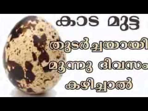 The healthy side of `Kada Mutta` - YouTube