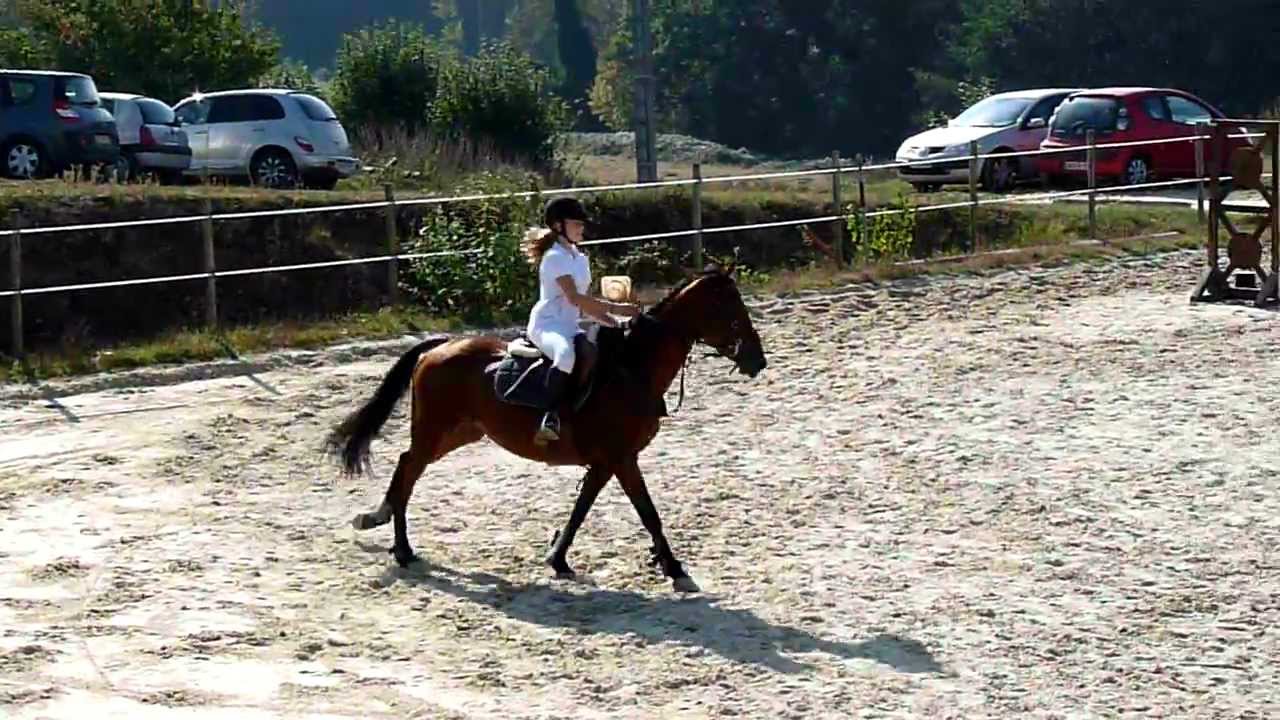 Mathilde et Palfium - CSO Grand Prix Club 3 - 16/10/2011 - Bully - YouTube