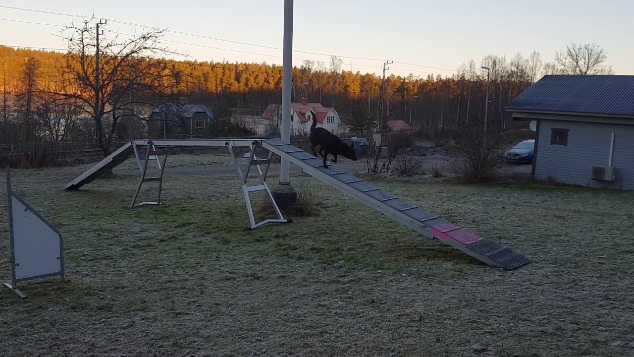 Kira running contacts training 22/11-2018 - YouTube