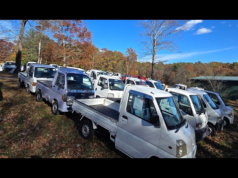 November 1, 2025 Inventory Review #minitruck