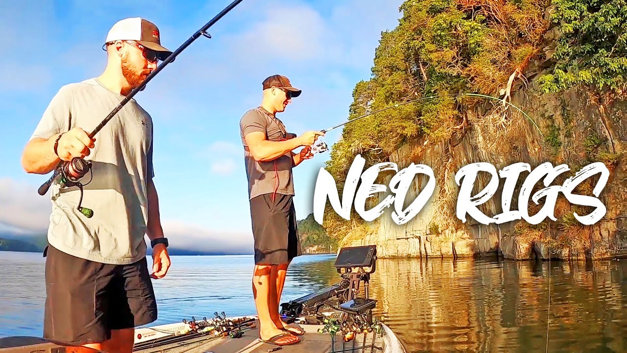 NED RIG FISHING In The Fall/Winter Months To Catch MORE BASS! - YouTube