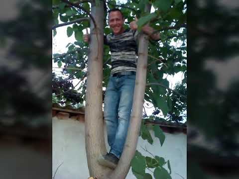 Гръцки хит 2018