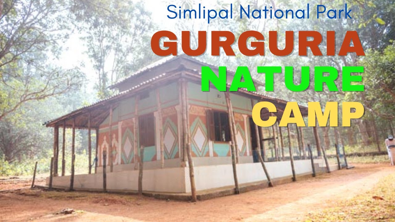 Gurguria Nature Camp | Best Nature Camp in Similipal | Similipal Tiger ...