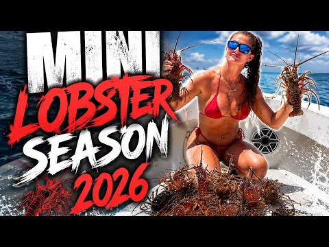 Mini Lobster Season Solo, camped on the Islandrunner ❤️