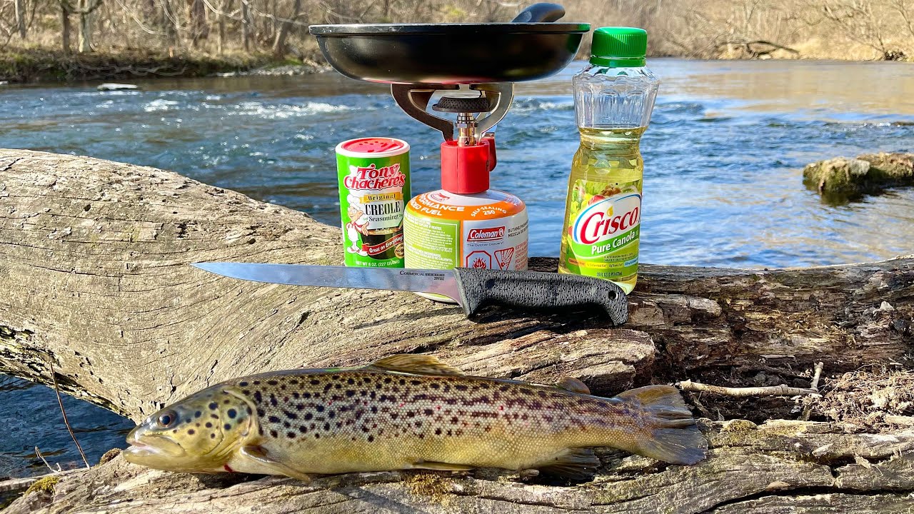 Creek Fishing for TROUT (Catch & Cook) - YouTube