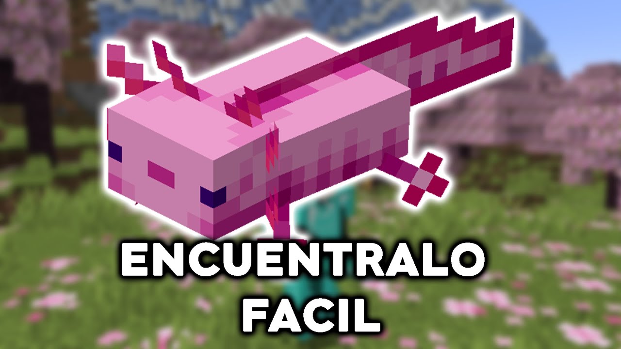 ¿Como ENCONTRAR AJOLOTES en Minecraft 1.20? - YouTube