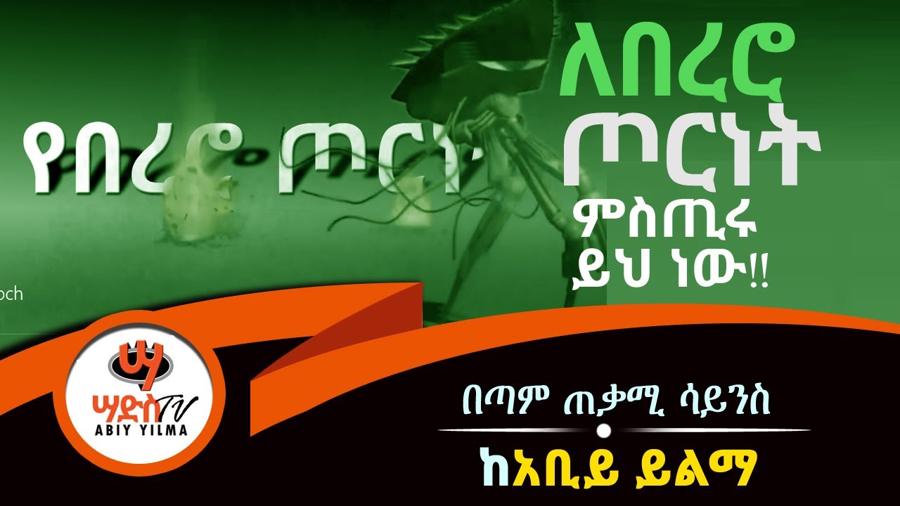 ለበረሮ ጦርነት ምስጢሩ ይህ ነው!!! Abiy Yilma, Saddis TV, ሳድስ, Ahadu, Fana, EBS ...