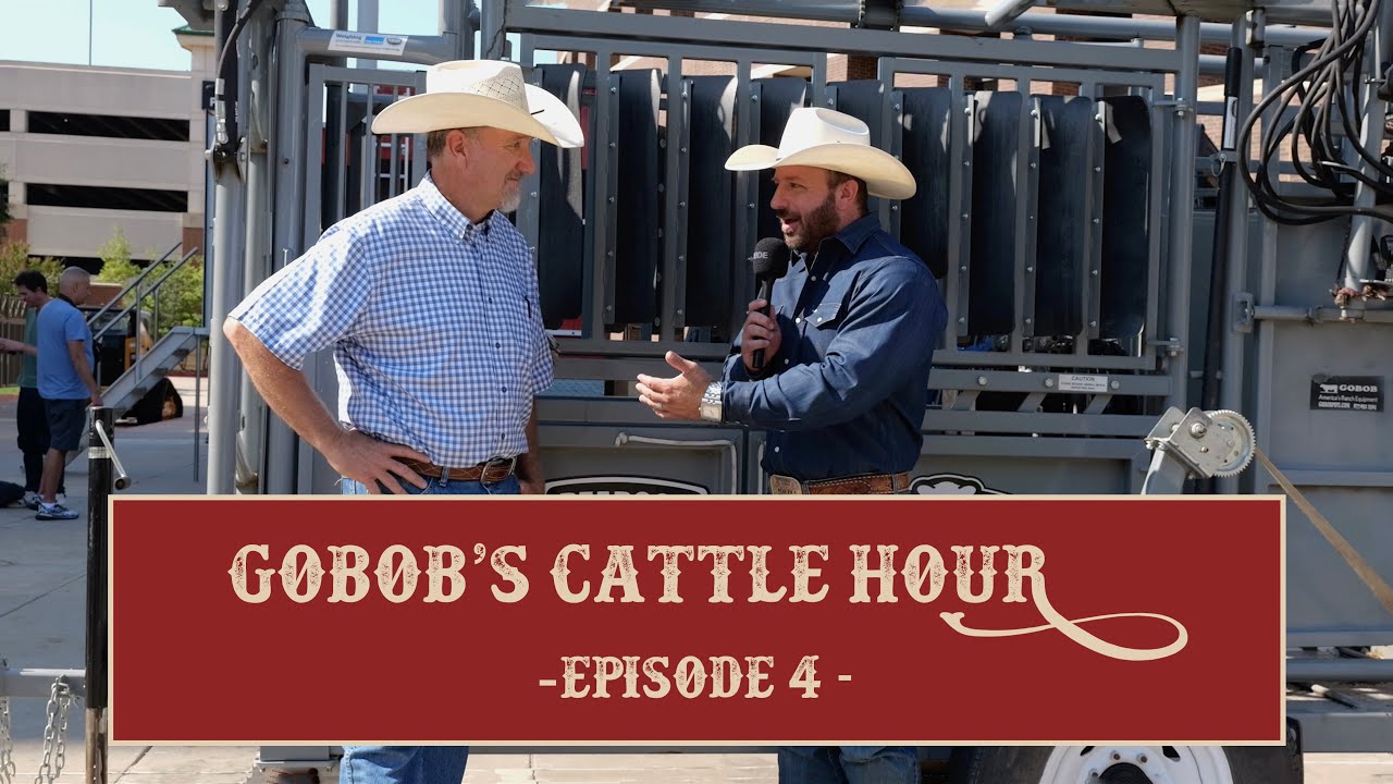 GoBob's Cattle Hour - Episode 4: PBR in OKC with Matt West - YouTube