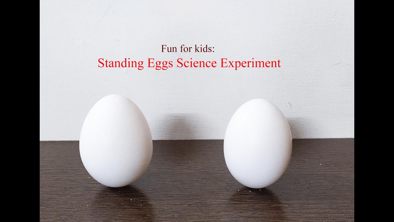 Standing Eggs Science Experiment | DIY | Do it Yourself - YouTube