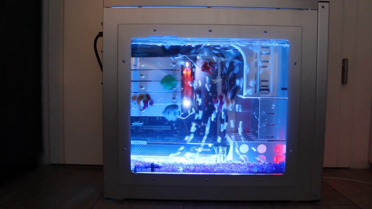 Lian Li PC60 mit Aquarium - YouTube