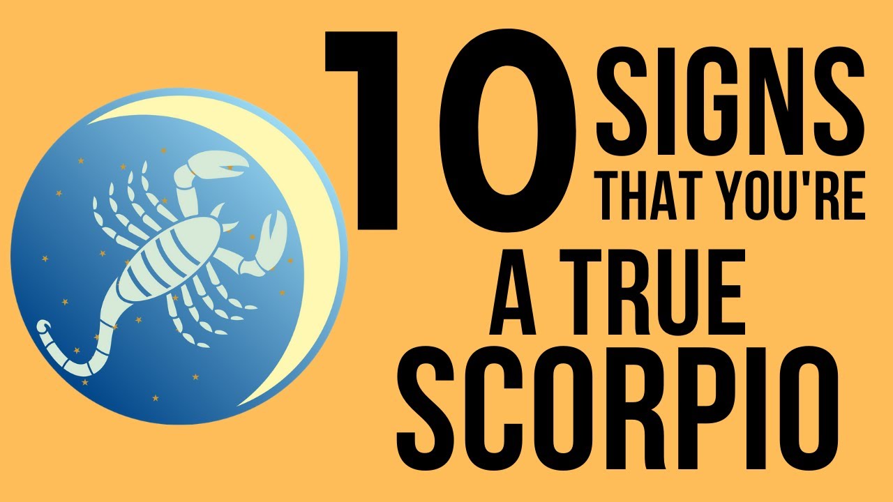 10 Signs That You're A True Scorpio - YouTube