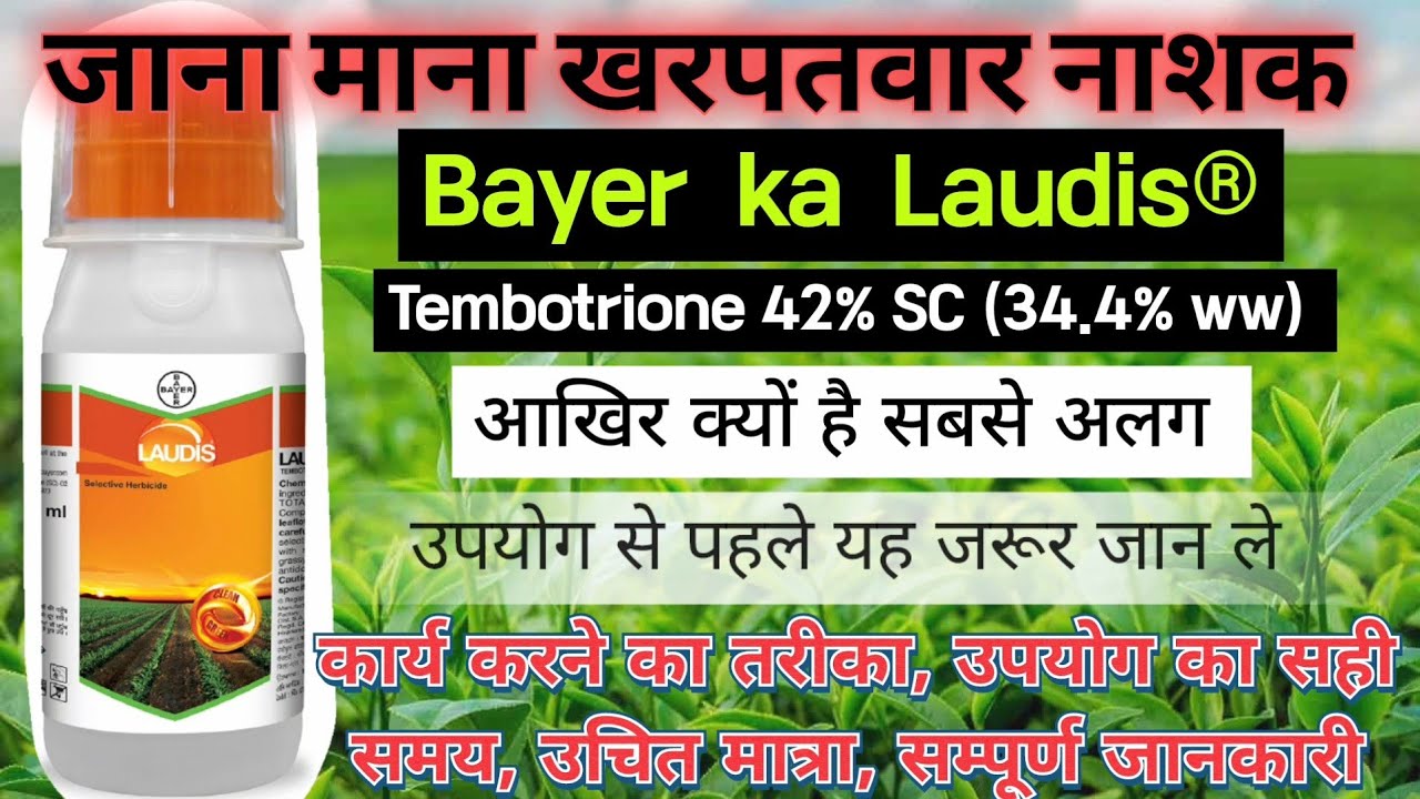 Laudis herbicide |bayer Laudis herbicide |Laudis खरपतवार नाशक ...