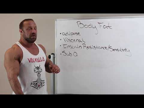Dr Todd Lee on Body Fat - YouTube
