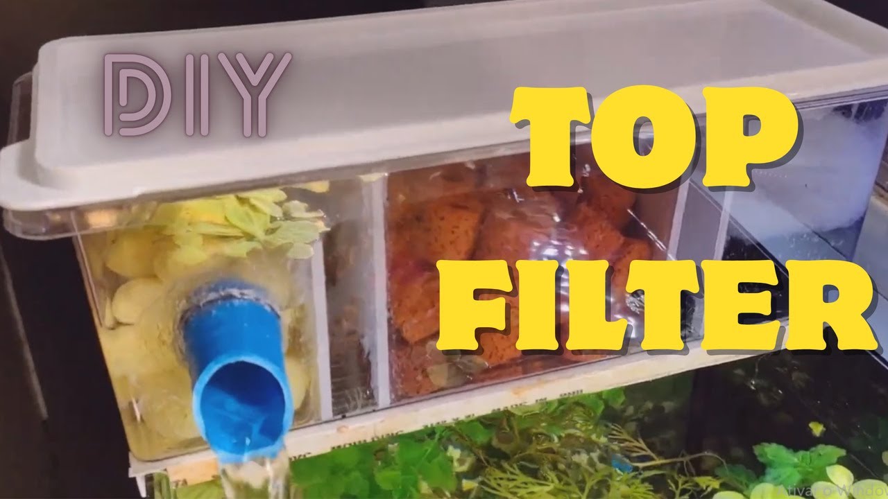 Budget-Friendly DIY Top Filter! 🐠 | Easy Mini Overhead Sump with PVC ...