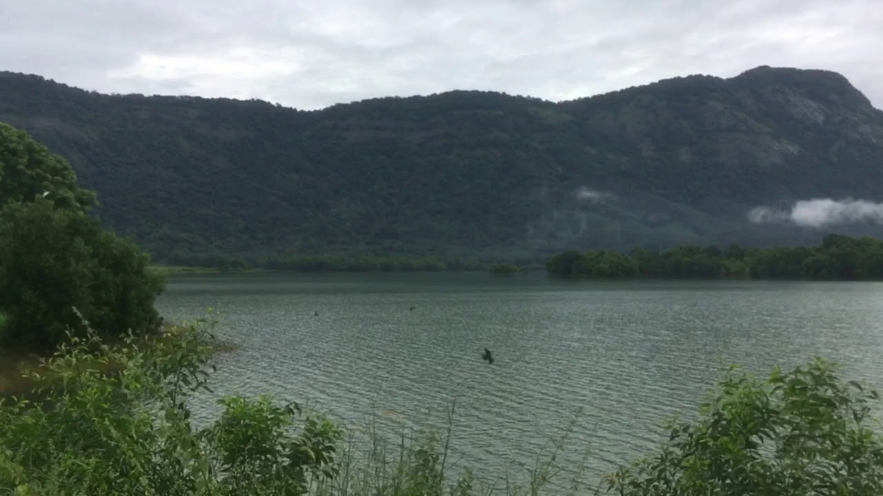 Kanjirapuzha Dam - YouTube