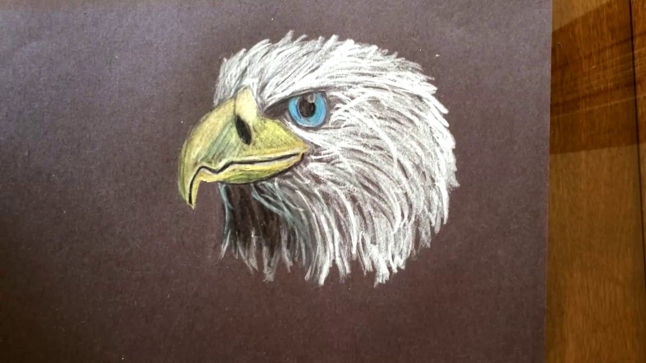 Bald Eagle Speed Art (Colored Pencils) - YouTube