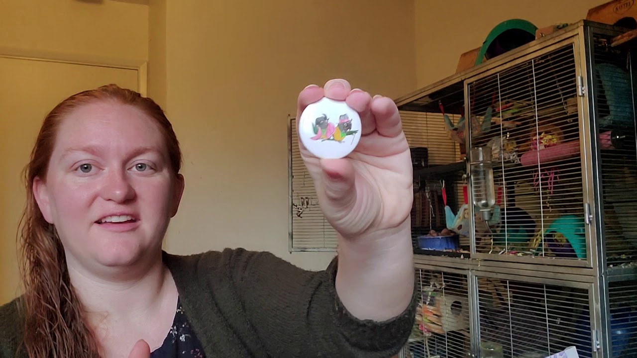 February 2020 Feathered Fun Box - YouTube