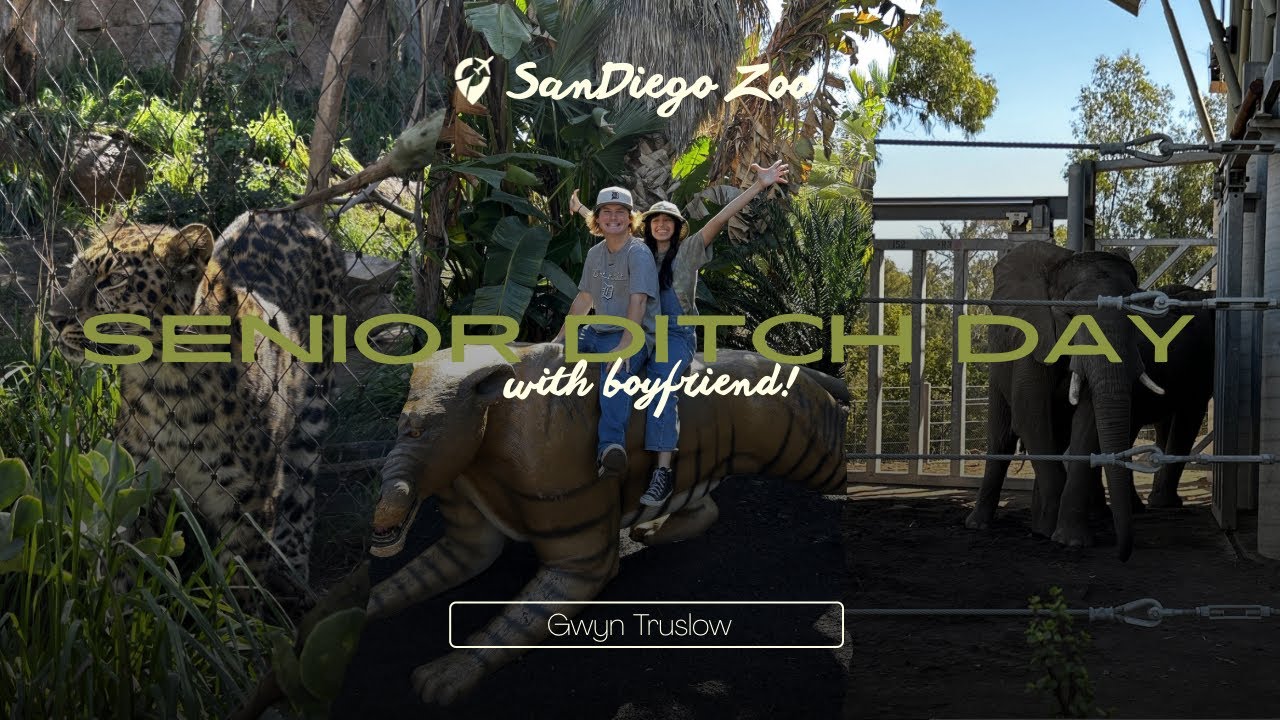 Senior ditch day! San diego zoo 🦒🦁🧡 11/4/2024 - YouTube